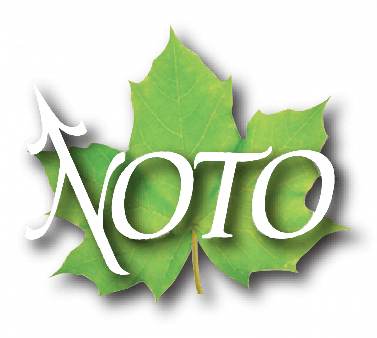 Customized Employee Manual | NOTO